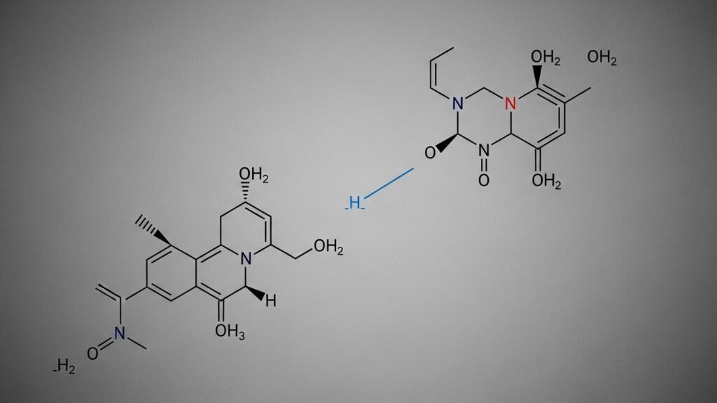 VIPBox: From Niche Site to Streaming Giant